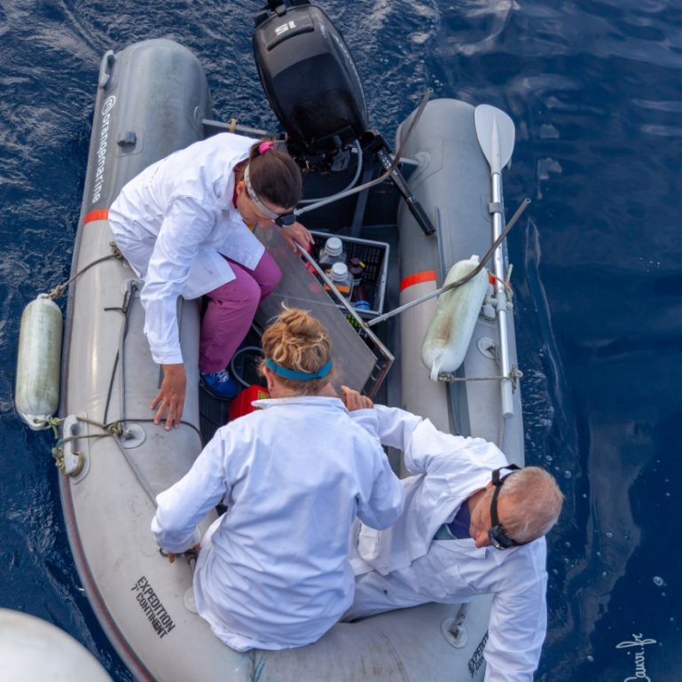 Comprendre - Septième continent