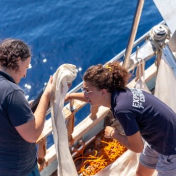 Comprendre - Septième continent